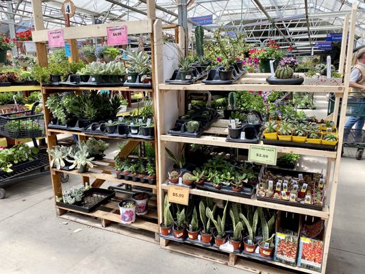 IFA COUNTRY STORE - RIVERTON - Updated November 2025 - 12 Photos & 17 ...