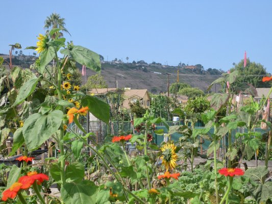 LAGO SECO PARK - 106 Photos & 26 Reviews - 3900 W 235th St, Torrance ...