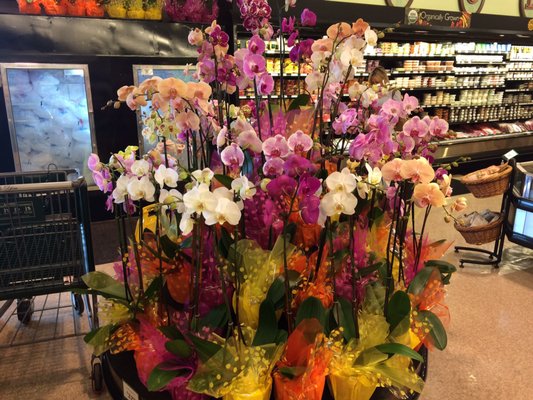 MILAM’S MARKETS - 132 Photos & 73 Reviews - 5767 Bird Rd, Miami ...