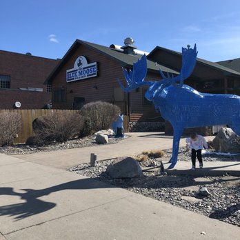 THE BLUE MOOSE BAR & GRILL - Updated March 2025 - 238 Photos & 282 ...
