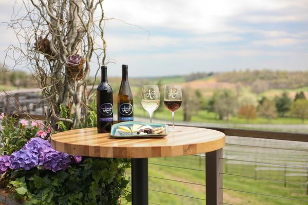 GRANDVIEW VINEYARD - 91 Photos & 39 Reviews - 1489 Grandview Rd, Mount ...