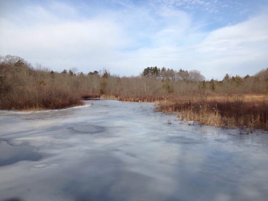 JACOBS POND CONSERVATION AREA - Updated November 2025 - 33-57 Duncan Dr ...