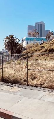 MIGUEL CONTRERAS LEARNING COMPLEX - Updated August 2025 - 22 Photos ...