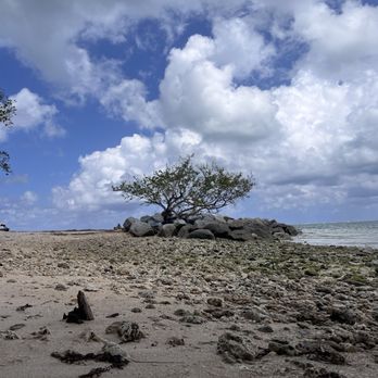 HISTORIC VIRGINIA KEY BEACH PARK - Updated December 2025 - 579 Photos ...
