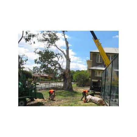 ACE ARBOR TREE SERVICES PTY LTD - PO Box 6215, Narraweena New South ...