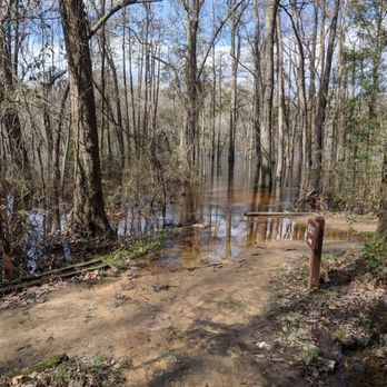 COLLETON STATE PARK OFFICE - Updated September 2024 - 19 Photos - 147 ...