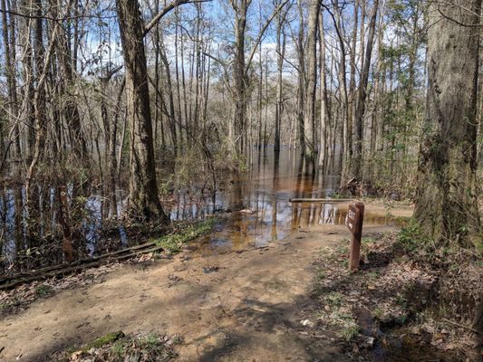 COLLETON STATE PARK OFFICE - Updated September 2024 - 19 Photos - 147 ...