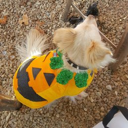 LADYBIRD GROVE & MESS HALL - Updated July 2025 - 981 Photos & 861 ...