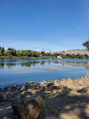 DAN FOLEY PARK - Updated June 2024 - 68 Photos - 1461 N Camino Alto ...