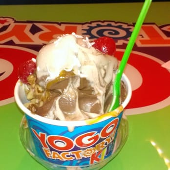YOGO FACTORY - Updated September 2024 - 12 Photos & 16 Reviews - 2192 N ...