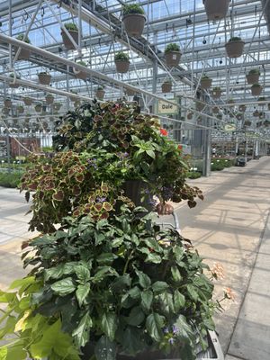 WOLDHUIS FARMS SUNRISE GREENHOUSE - Updated August 2025 - 59 Photos ...