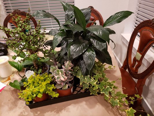 GREENLIFE NURSERY AND LANDSCAPING - Updated October 2025 - 10 Reviews ...