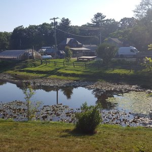 ALLANDALE FARM - 104 Photos & 69 Reviews - 259 Allandale Rd, Brookline ...