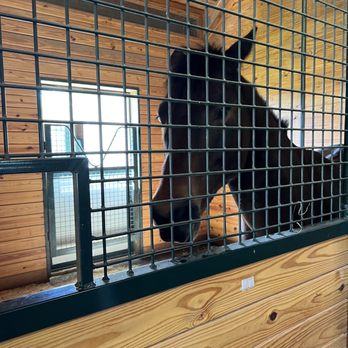 SALAMANDER MIDDLEBURG - Updated December 2024 - 711 Photos & 441 ...