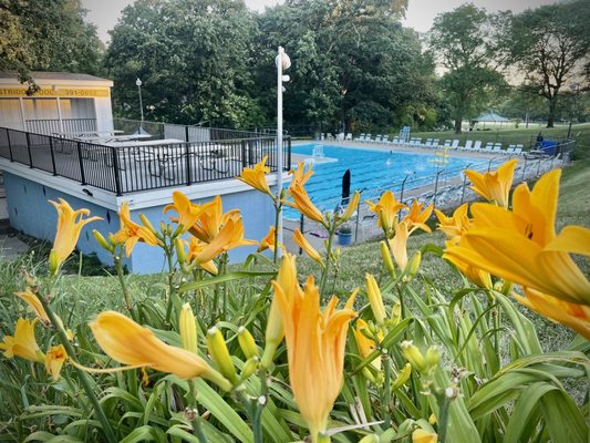 WESTRIDGE POOL - Updated December 2025 - 3516 Paddock Rd, Omaha ...