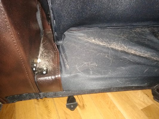 BARE BONES FURNITURE & MATTRESS - Updated December 2025 - 33 Reviews ...