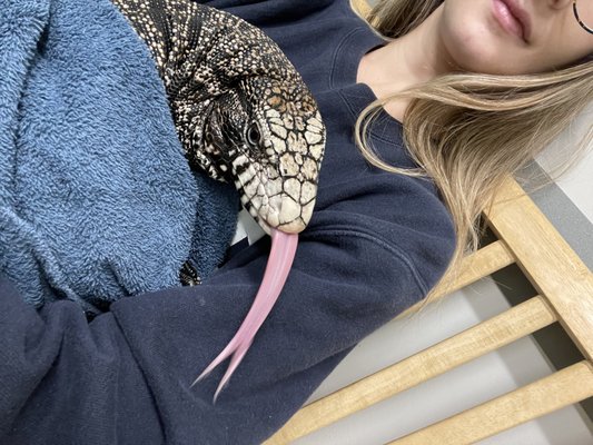 AVIAN AND EXOTIC ANIMAL CARE - Updated July 2025 - 102 Photos & 88 ...