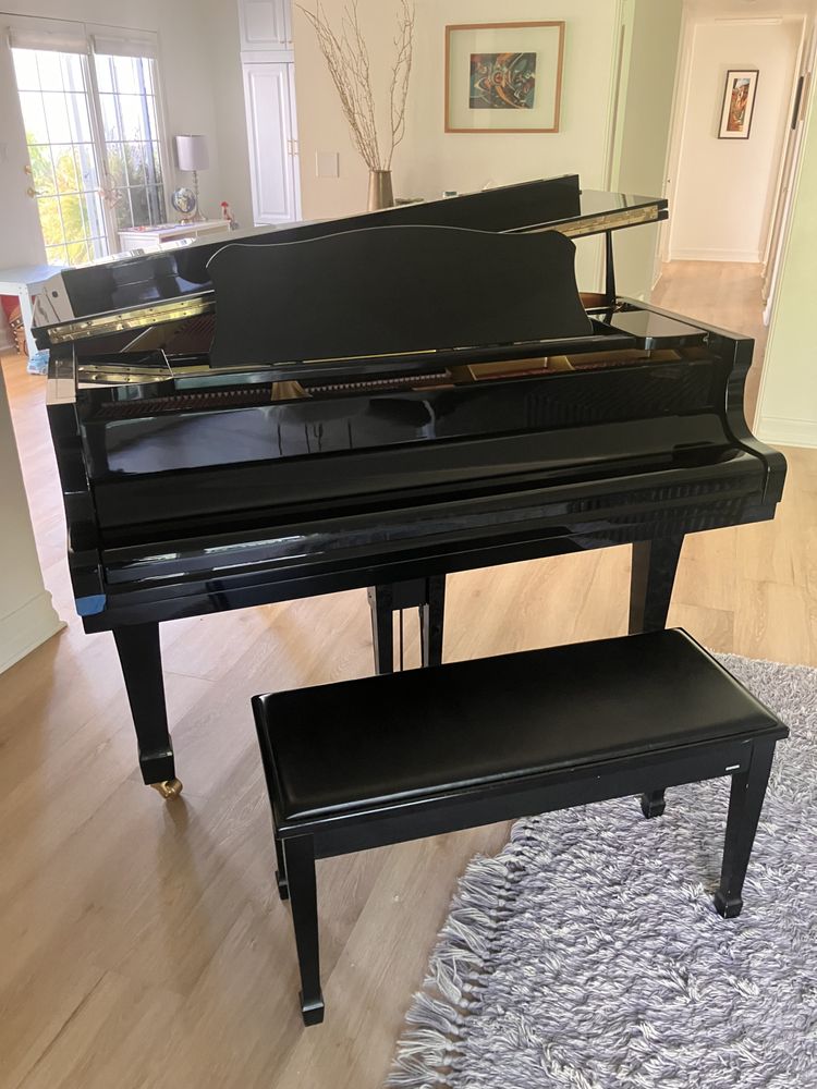 DAVIS PIANO MOVING AND RENTAL - Updated June 2026 - 723 Roberto Ave ...