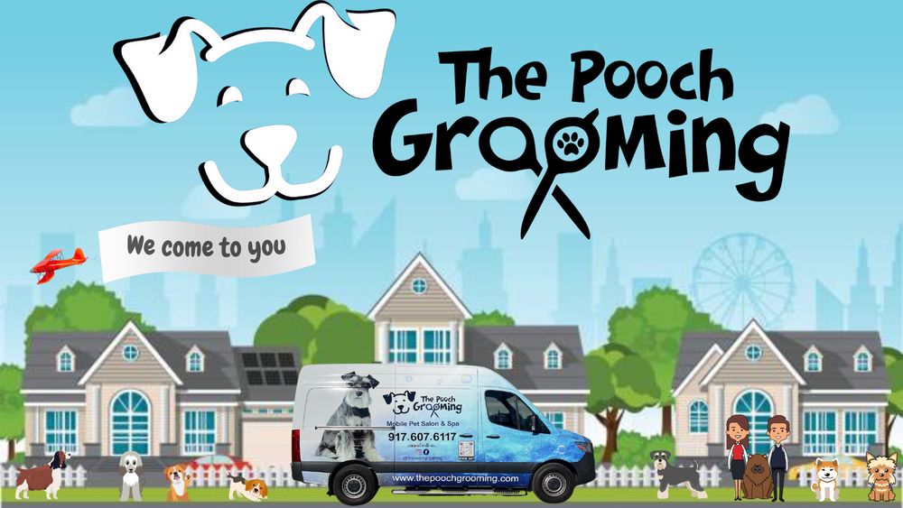 THE POOCH GROOMING - Updated May 2026 - 40 Photos & 12 Reviews ...