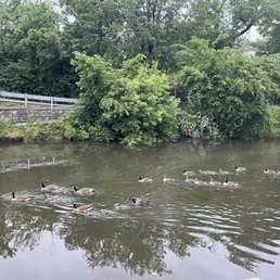 LOCK 29 MONT CLARE - Updated January 2026 - 95 Photos & 94 Reviews ...