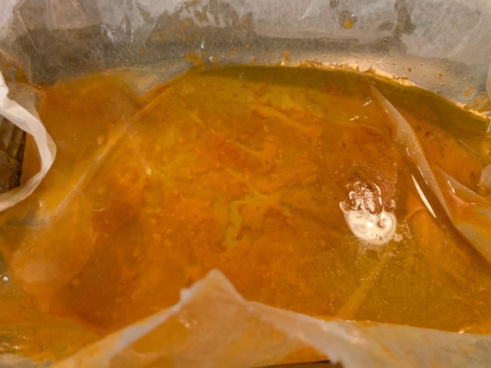 THE CRAZY GATOR - 56 Photos & 86 Reviews - American (Traditional) - 402 ...