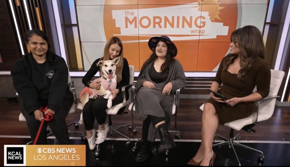 CBS STUDIO CENTER - Updated September 2024 - 253 Photos & 118 Reviews ...