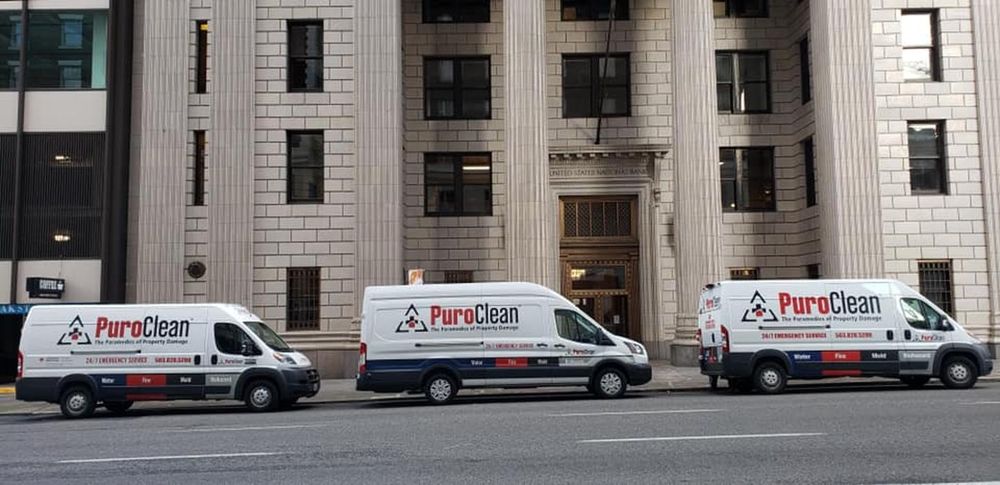 PUROCLEAN RESTORATION SERVICES - Updated October 2025 - 27 Photos & 10 ...