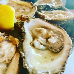 HALF SHELL OYSTER HOUSE - Updated May 2025 - 481 Photos & 489 Reviews ...