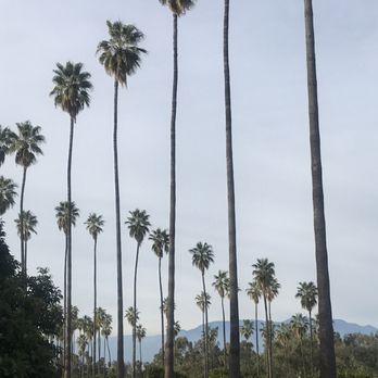 CALIFORNIA CITRUS STATE HISTORIC PARK - Updated December 2025 - 916 ...