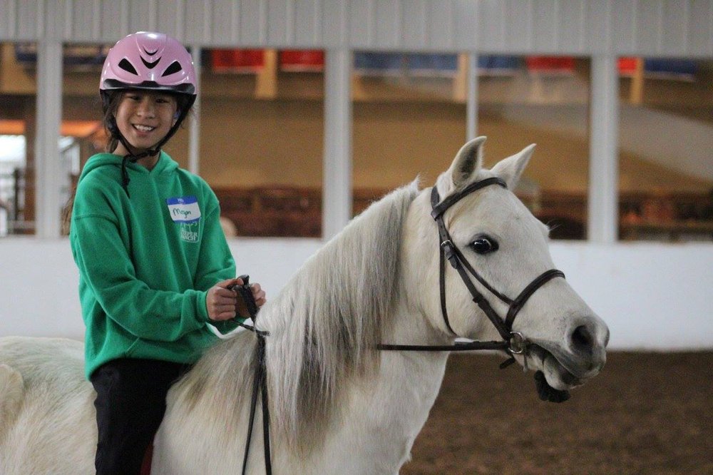 FIRE STABLES EQUESTRIAN - Updated December 2025 - 17 Photos - 9100 ...