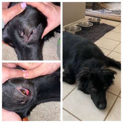 K9 CAFE BOUTIQUE & SPA - BABCOCK - Updated January 2025 - 167 Photos ...