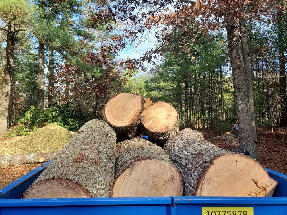 CHRISTOPHER P PERRON - Fairhaven, Massachusetts - Tree Services - Phone Number - Yelp