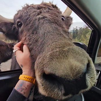 OLYMPIC GAME FARM - Updated May 2025 - 861 Photos & 376 Reviews - 1423 ...