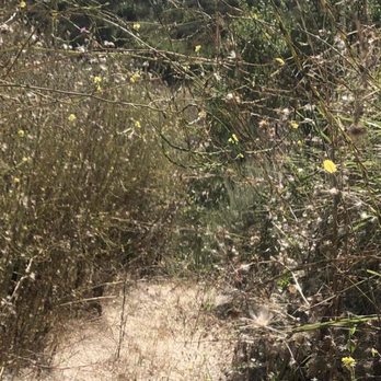 LOS FLORES RANCH PARK - Updated October 2025 - 22 Photos & 14 Reviews ...