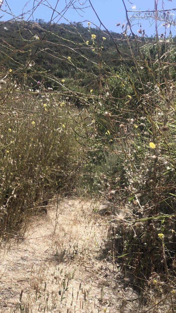 LOS FLORES RANCH PARK - Updated October 2025 - 22 Photos & 14 Reviews ...