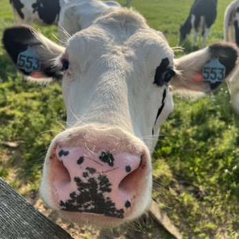 TANNER BROTHERS DAIRY - Updated August 2024 - 97 Photos & 151 Reviews ...