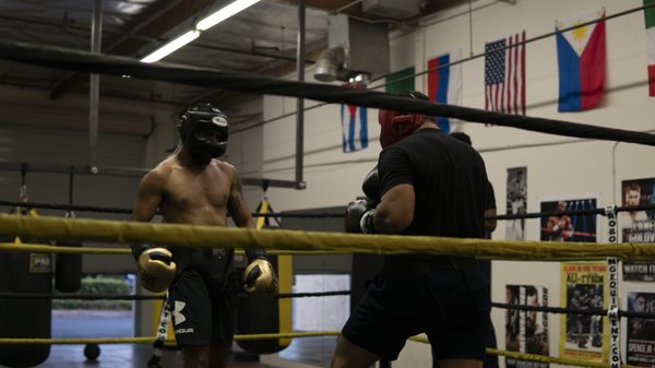 UNDEFEATED BOXING CLUB - Updated September 2025 - 25 Photos - 1332 W ...