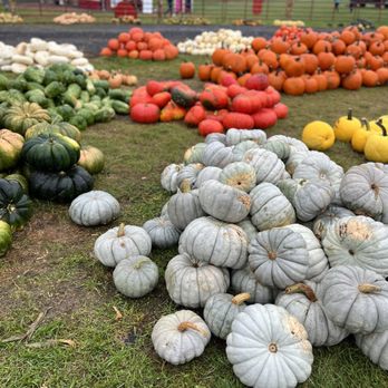 BUTLER’S ORCHARD - Updated October 2025 - 832 Photos & 426 Reviews ...