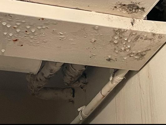 SUNREX MANAGEMENT - Updated December 2025 - 20 Reviews - 1209-21 Roslyn ...