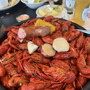 CAJUN CRITTERS - 19 Photos - 6433 Alma St, Houma, LA - Yelp