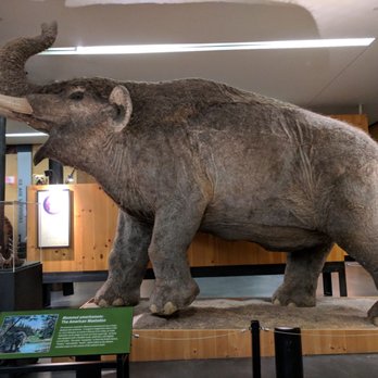 CRANBROOK INSTITUTE OF SCIENCE - Updated October 2025 - 257 Photos & 43 ...