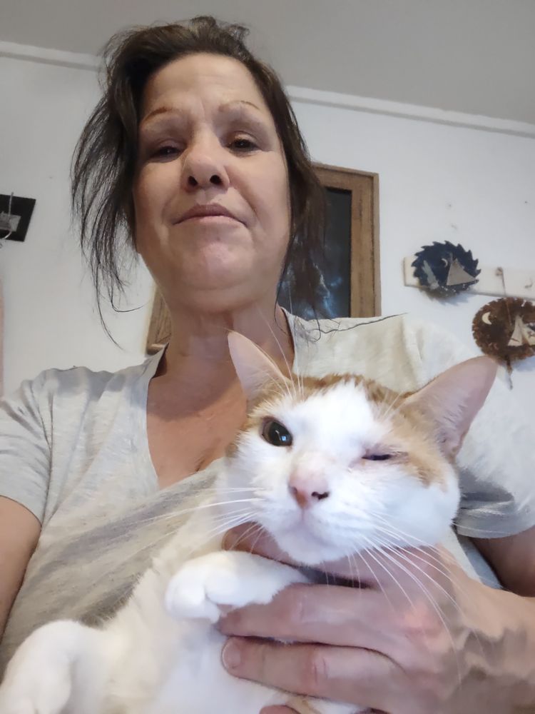 SAVING MAX SMALL CAT RESCUE - Updated August 2025 - 10 Photos - Cocoa ...