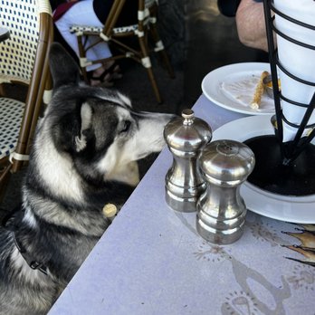 LEFT BANK BRASSERIE - LARKSPUR - Updated May 2025 - 634 Photos & 764 ...