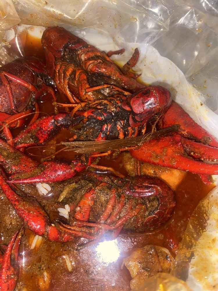 SHELL SHACK - Updated December 2025 - 13 Photos & 33 Reviews - 550 ...