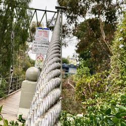 SPRUCE STREET SUSPENSION BRIDGE - 906 Photos & 353 Reviews - Spruce St ...