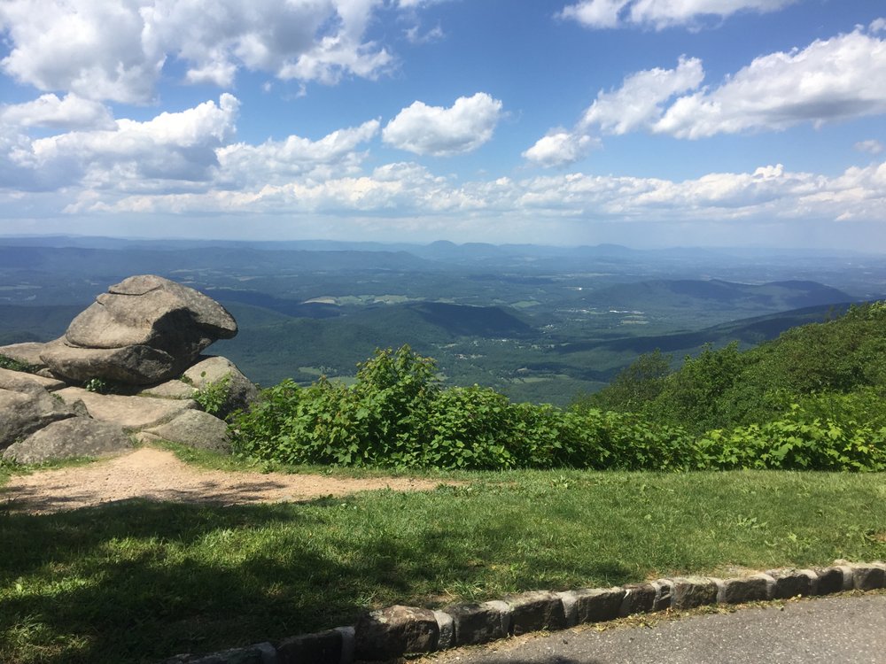 HANDY RANDY - Updated September 2025 - 16 Reviews - Bloomington ...