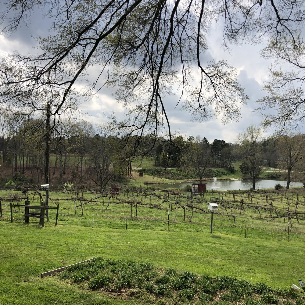 TREEHOUSE VINEYARDS - 382 Photos & 179 Reviews - 301 Bay St, Monroe, NC ...