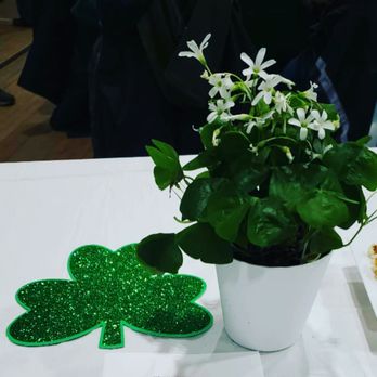 HOLY NAME PARISH - Updated December 2025 - 1689 Centre St, West Roxbury ...