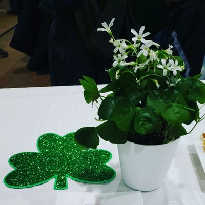 HOLY NAME PARISH - Updated December 2025 - 1689 Centre St, West Roxbury ...