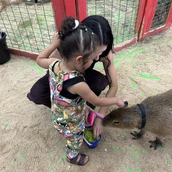 DEBBIE DOLITTLE’S PETTING ZOO - Updated July 2025 - 419 Photos & 203 ...